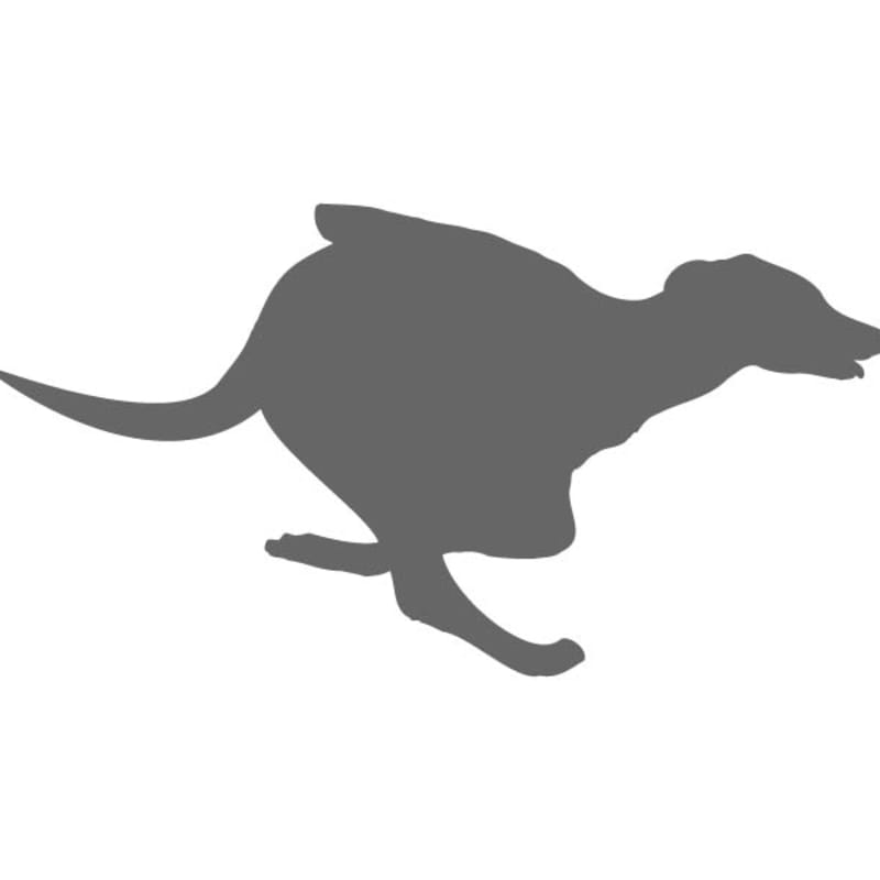 greyhound racing clipart