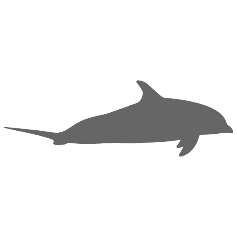 Dolphin Craft Shape | Craftcuts.com