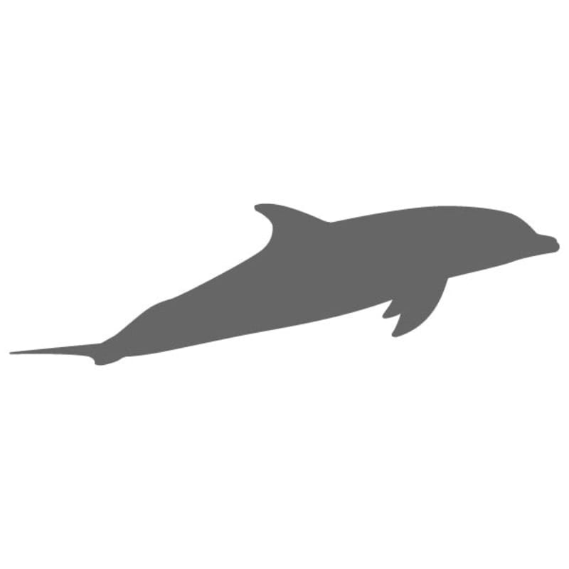 Dolphin 2 Craft Shape | Craftcuts.com