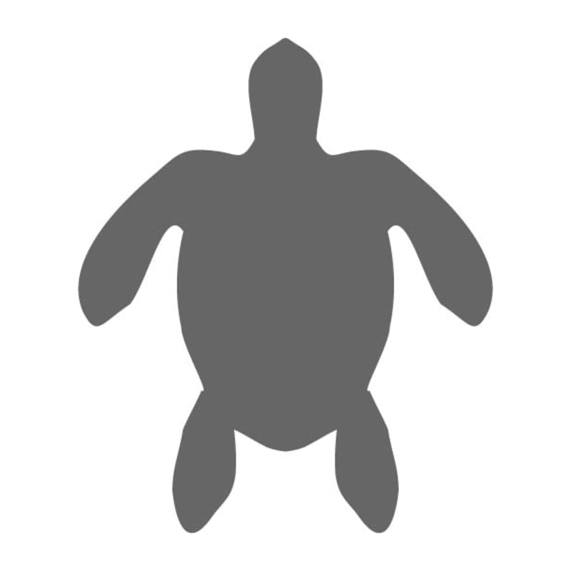 Turtle 2 Craft Shape | Craftcuts.com