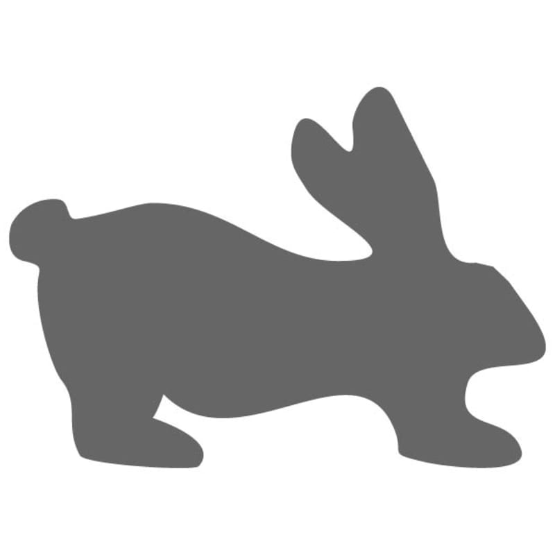 Rabbit Craft Shape | Craftcuts.com