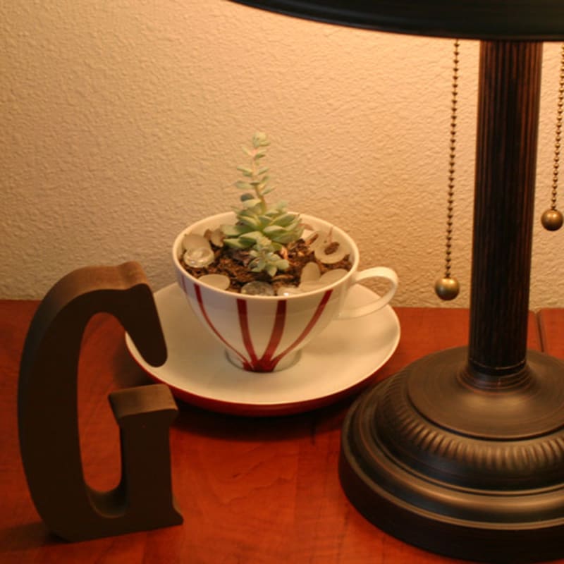 Painted Standing Wood Letters | CraftCuts.com