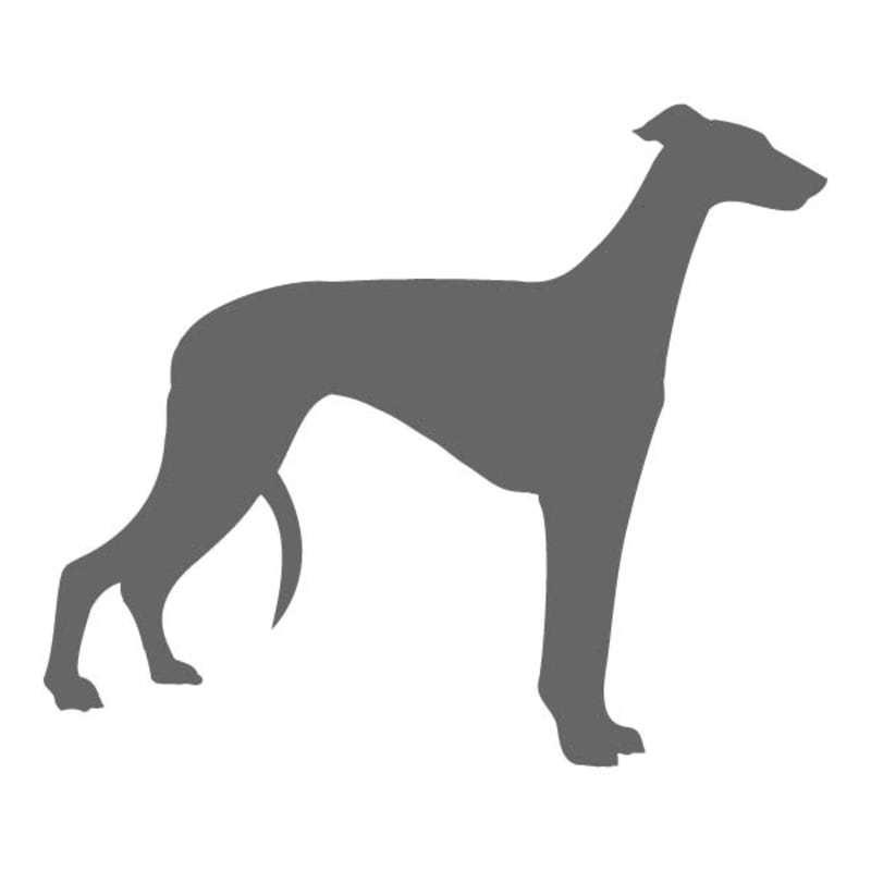 Greyhound Stencil | Craftcuts.com