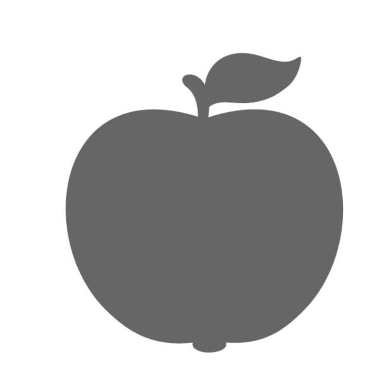 Leafy Apple Stencil | Craftcuts.com