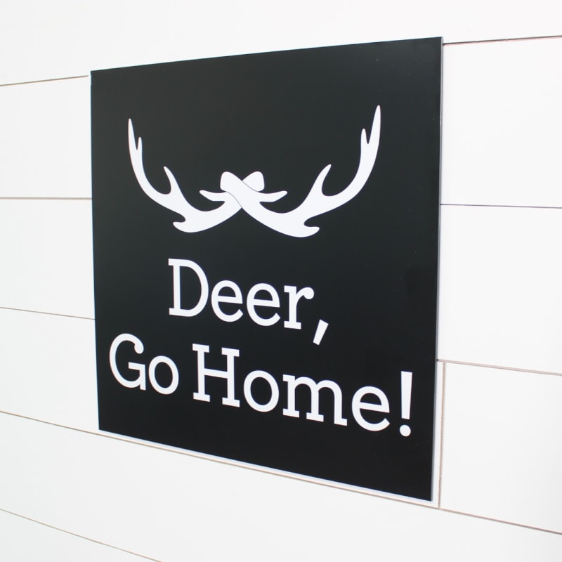 Custom Vinyl Lettering | Craftcuts.com