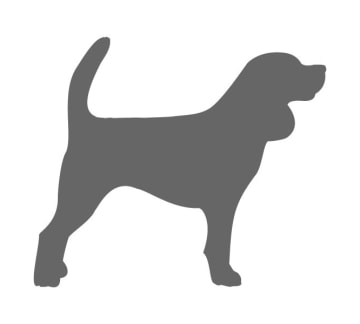 Custom Dog Shapes & Cutouts | CraftCuts.com
