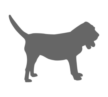 Custom Dog Shapes & Cutouts | CraftCuts.com