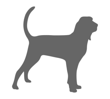 Custom Dog Shapes & Cutouts | CraftCuts.com