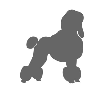 Custom Dog Shapes & Cutouts | CraftCuts.com