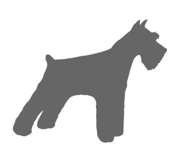 Custom Dog Shapes & Cutouts | CraftCuts.com
