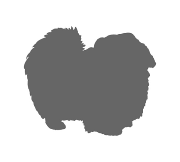 Custom Dog Shapes & Cutouts | CraftCuts.com