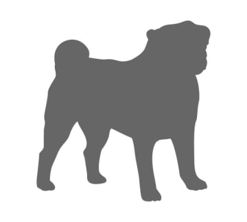 Custom Dog Shapes & Cutouts | CraftCuts.com