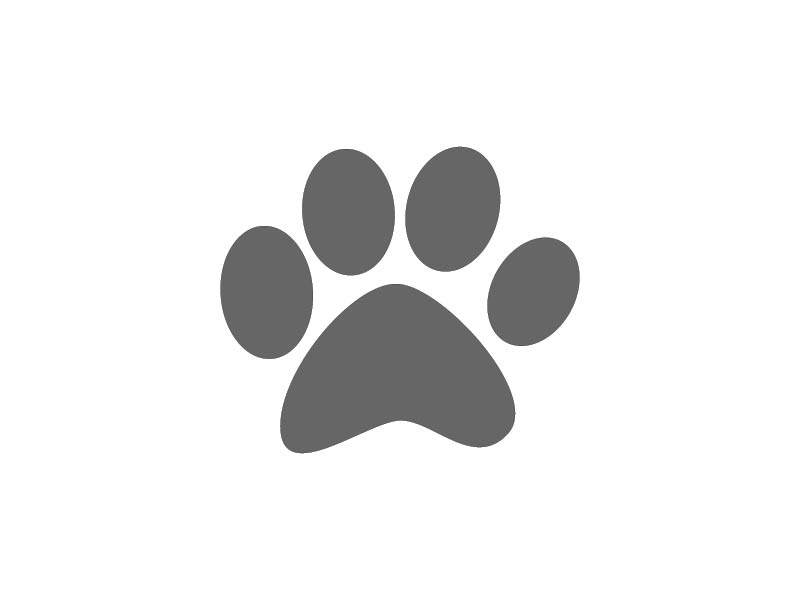 Paw Craft Shape | Craftcuts.com