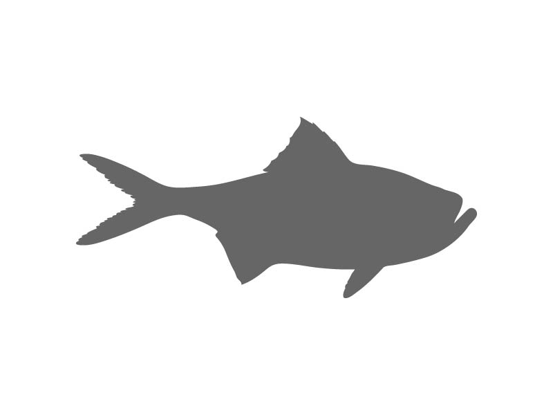 Fish 2 Craft Shape | Craftcuts.com