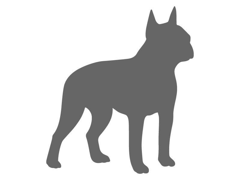 Boston Terrier Stencil | Craftcuts.com