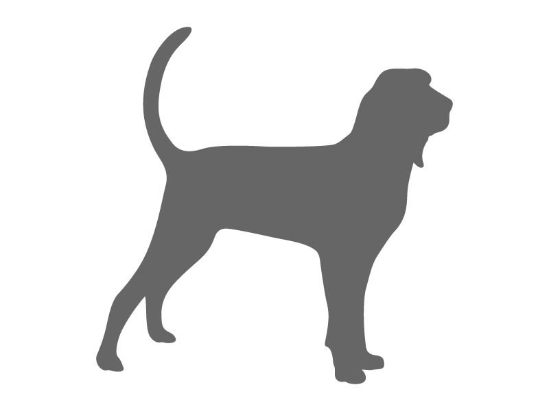 Coon Hound Stencil | Craftcuts.com