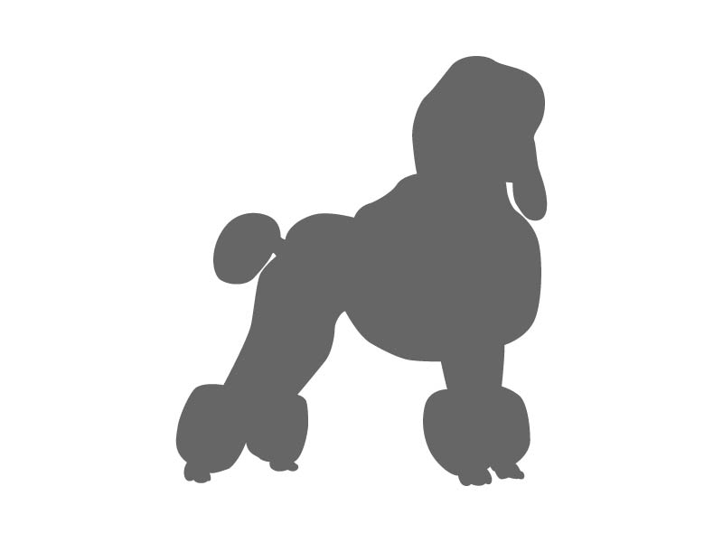 Fancy Poodle Stencil | Craftcuts.com