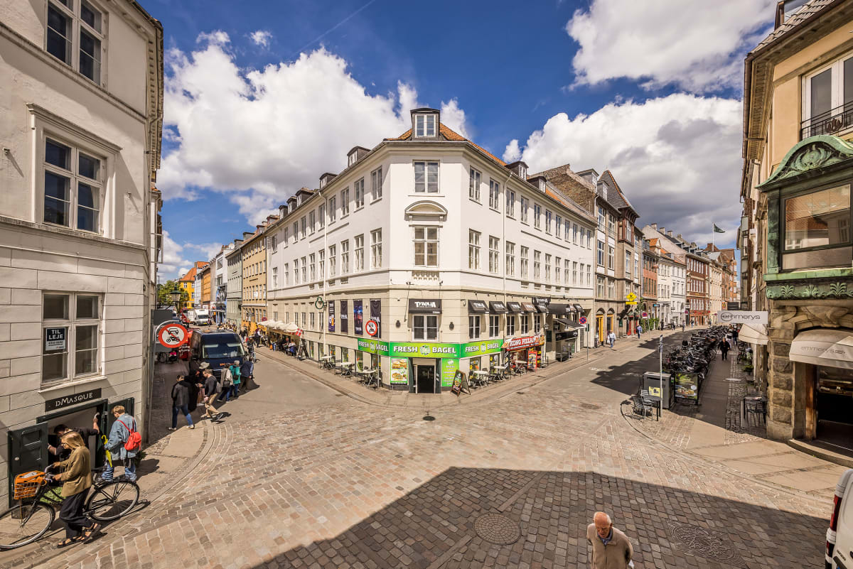 Vestergade 12 / Larsbjørnsstræde 10 • woods