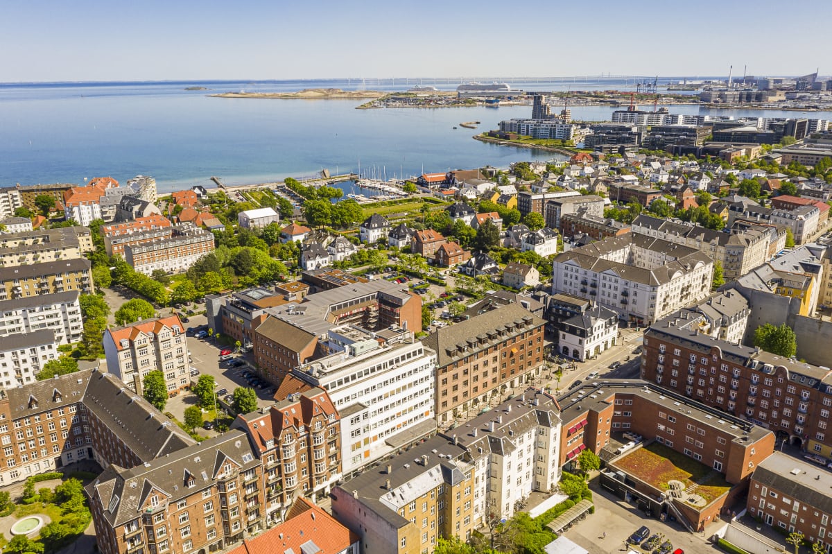 Helleruphus • woods