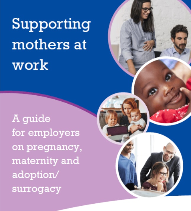 Working Families | Supporting Mothers Toolkit: Best Practice Guides and ...