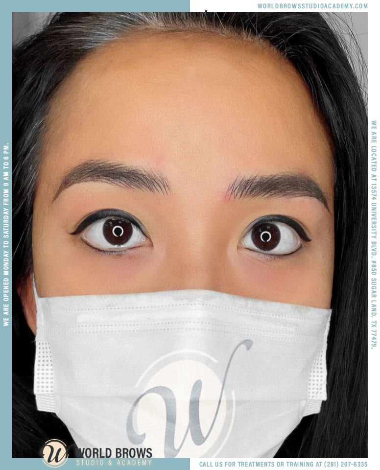 World Brows Studio & Academy - The best Microblading and Permanent ...