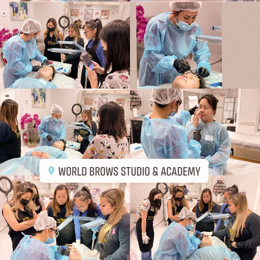 PMU Training Course - World Brows Studio & Academy