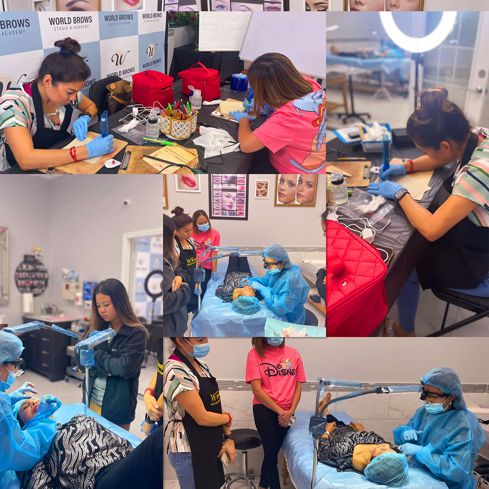 PMU Training Course - World Brows Studio & Academy