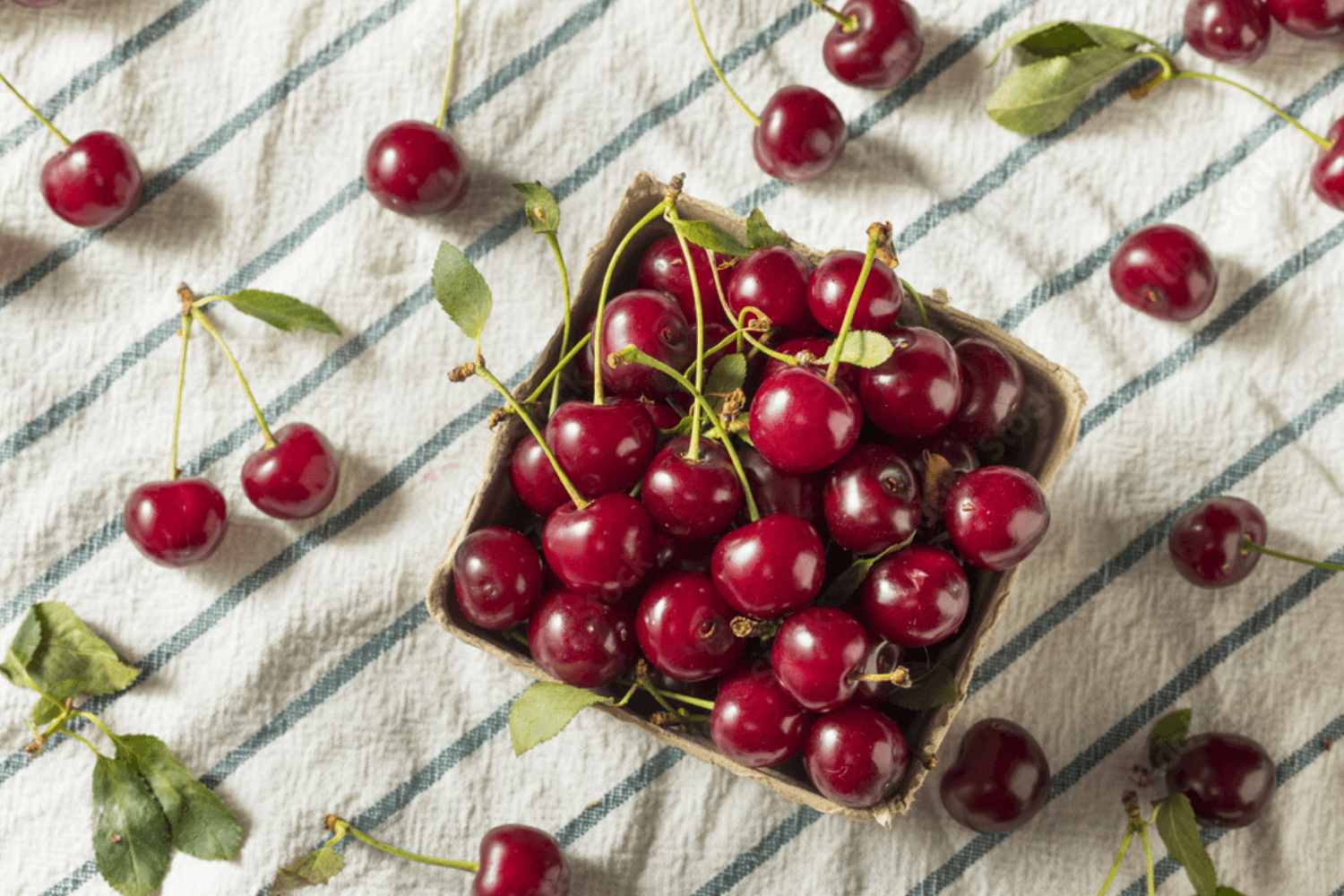 How Nutrition Can Help You Sleep | Oak Tree Mobility