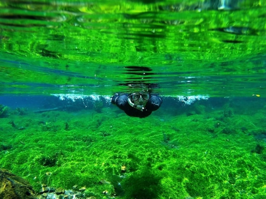 5 atrações que você tem que conhecer na sua viagem para Bonito