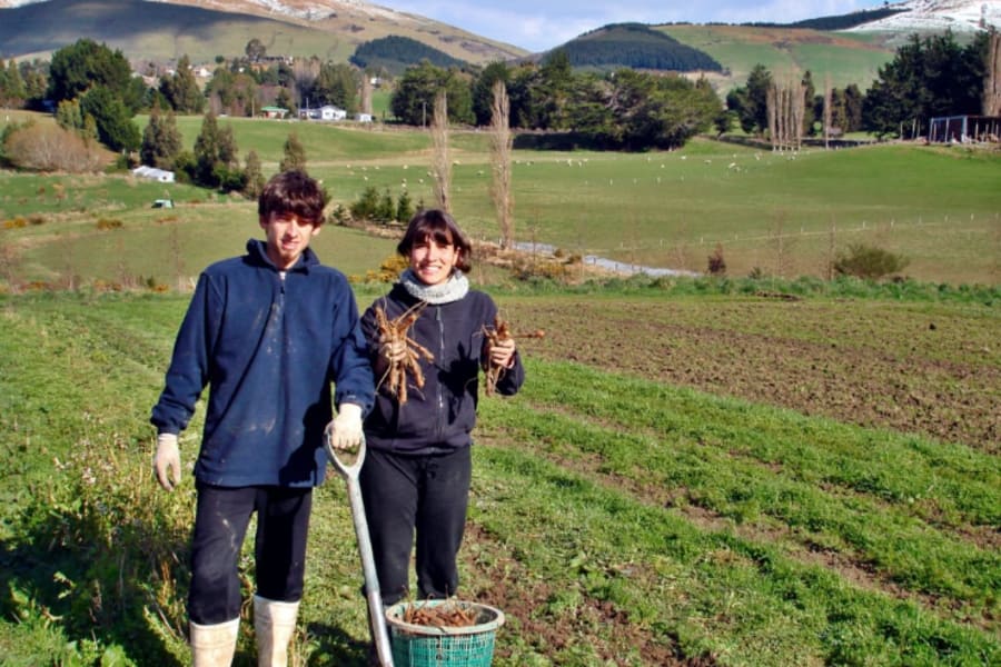 Sustainable projects: examples and how to collaborate