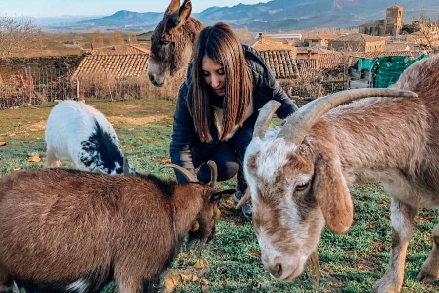 Working on a farm: the ultimate guide