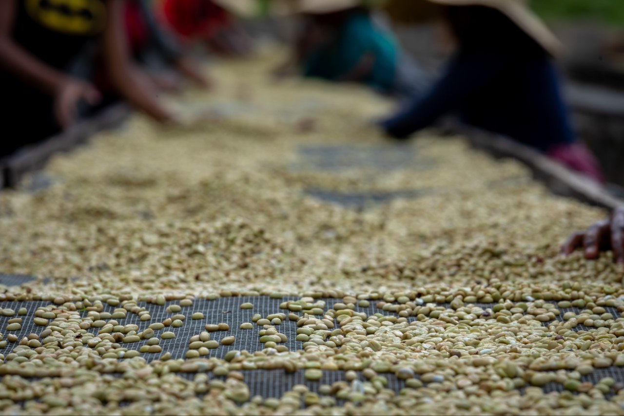 Moyee Coffee Ethiopia