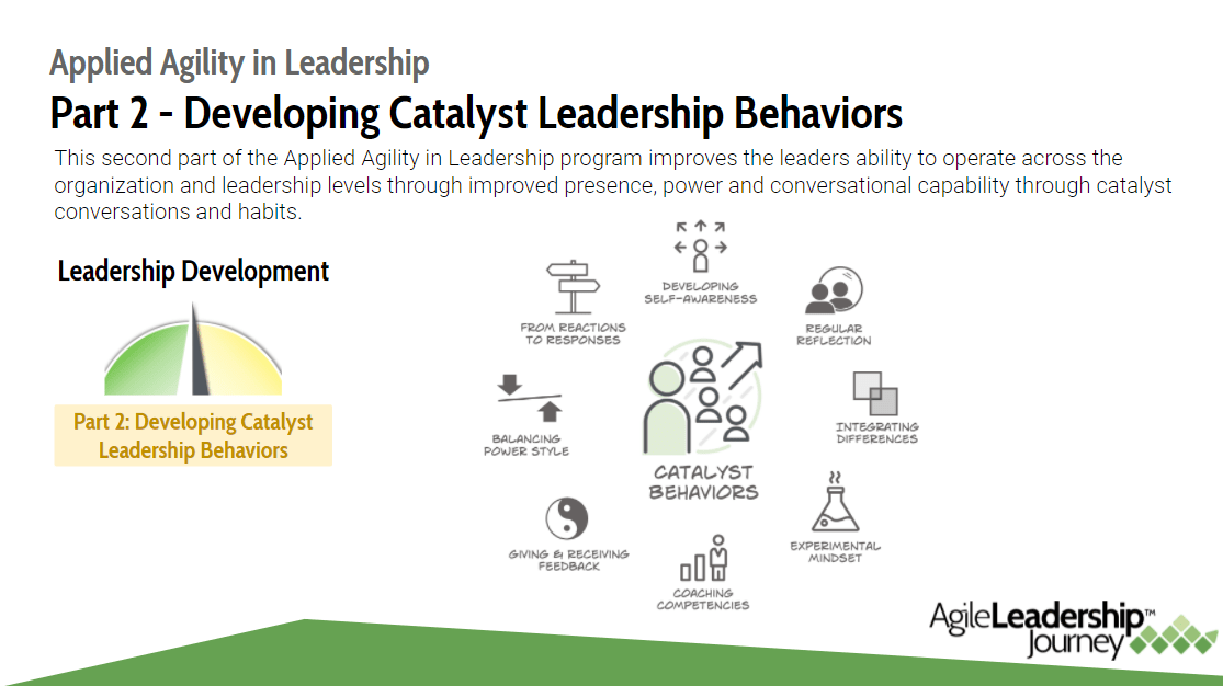 Applied Agility in Leadership - Part 2: Developing Catalyst Behaviors ...