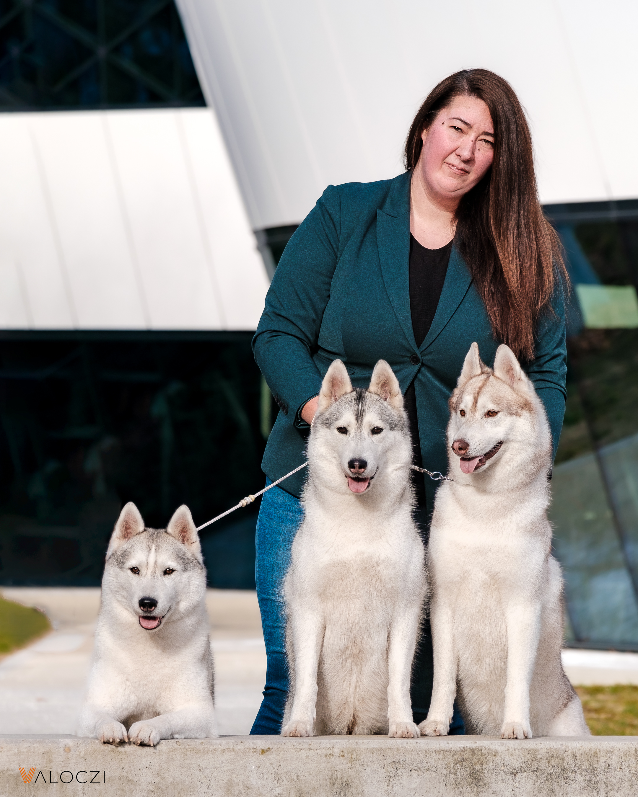 Saint Michael Island Szibériai Husky Kennel - Siberian Husky-Züchter