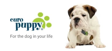 Puppies and Kittens for sale from Trusted Breeders | Pets4You