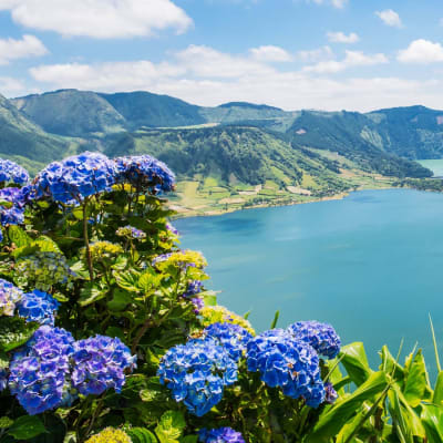 Vi over 60 og Aller travel samarbeid