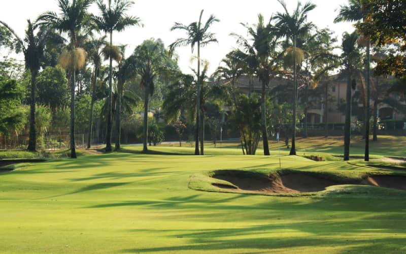 Shop 4 Balls | Flook