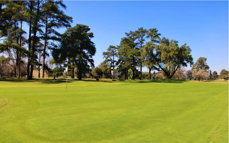 Sport & Travel Deals | Flook