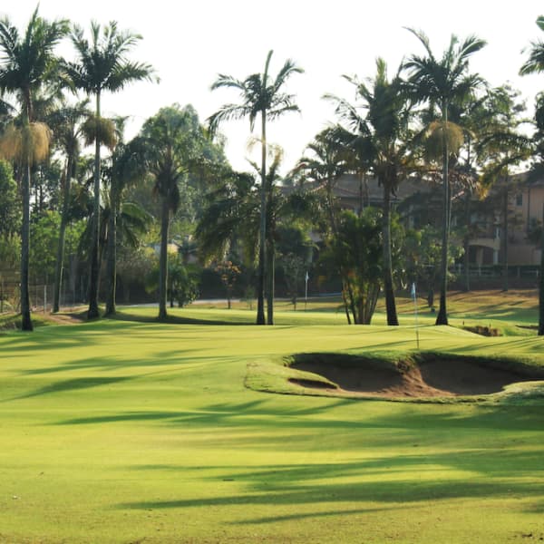 Shop Golf in Sports | Flook