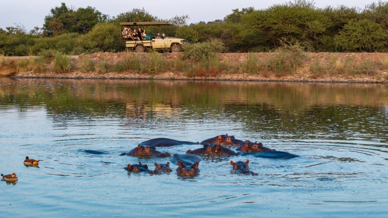 Thaba Khaya Lodge, Sable Ranch Brits: 2 Nights Stay for 2 Includes ...