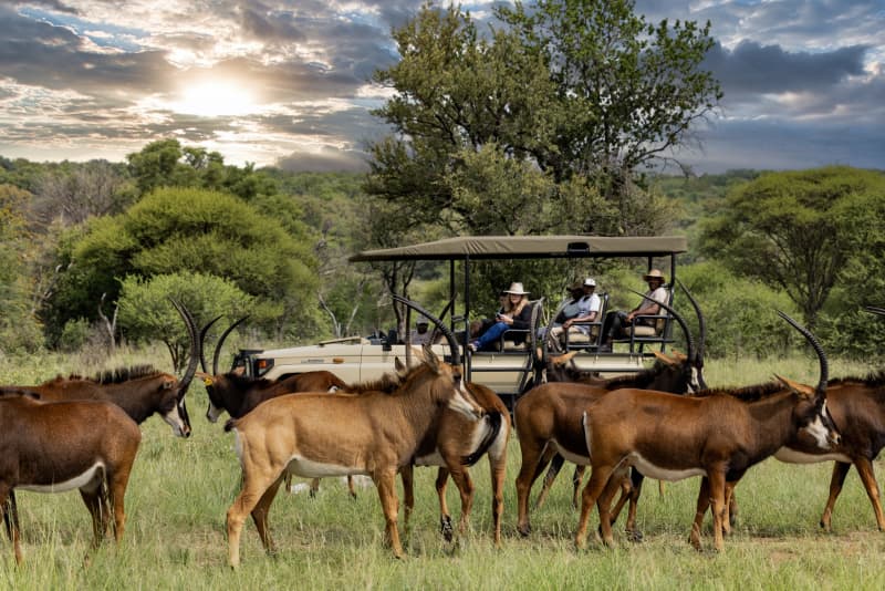 Thaba Khaya Lodge, Sable Ranch Brits: 2 Nights Stay for 2 Includes ...