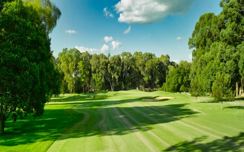 Benoni Country Club: 4-Ball Only R639.99 | Flook