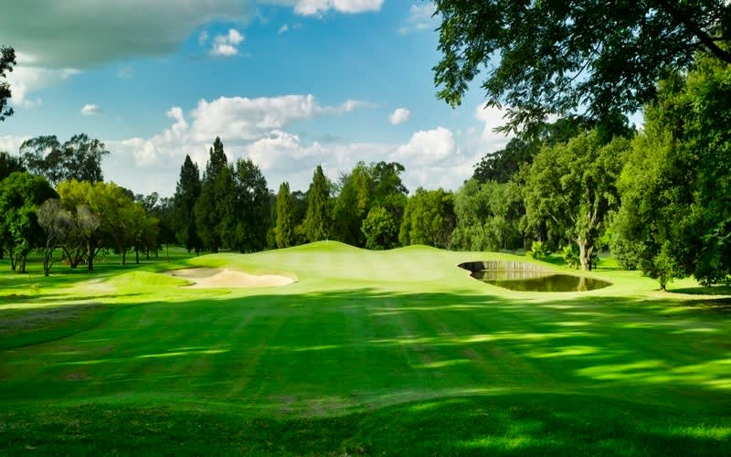Benoni Country Club: 2-Ball Only R359.99 | Flook