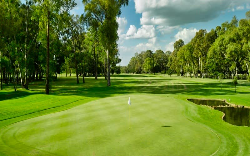 Benoni Country Club: 2-Ball Only R359.99 | Flook