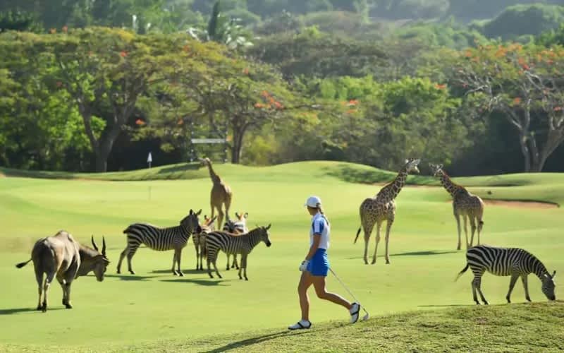 Kenya Grand Golf Safari: 10 Nights in Nairobi & Mombasa + 8 Rounds at ...