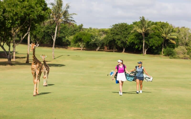 Kenya Grand Golf Safari: 10 Nights in Nairobi & Mombasa + 8 Rounds at ...