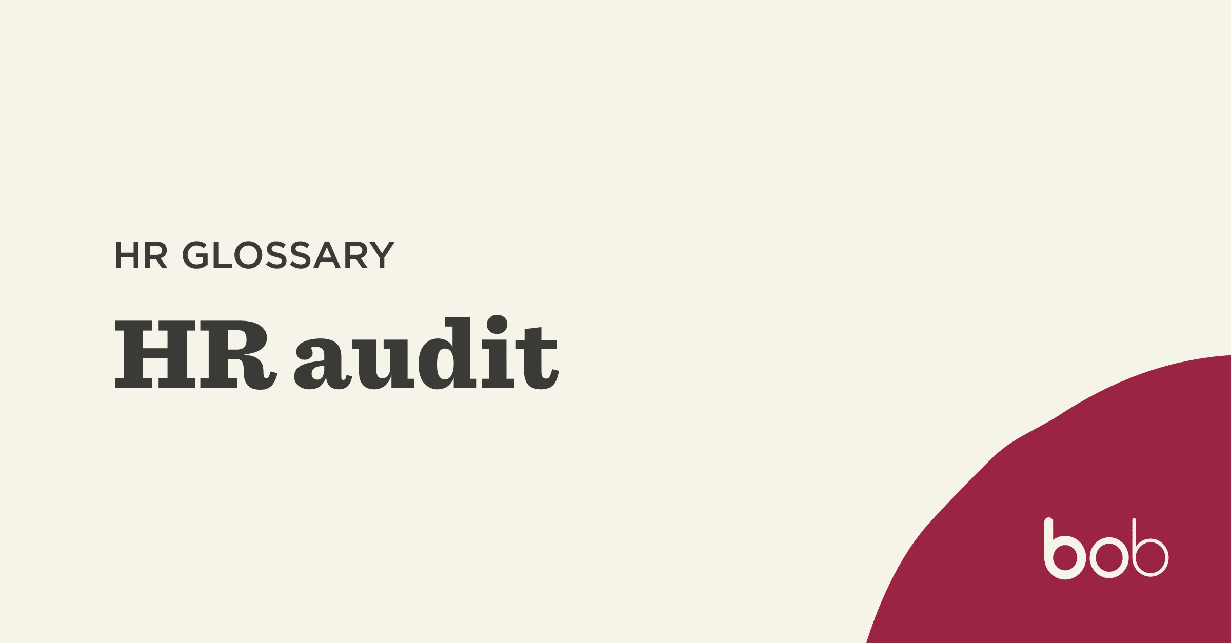 What is an HR audit?