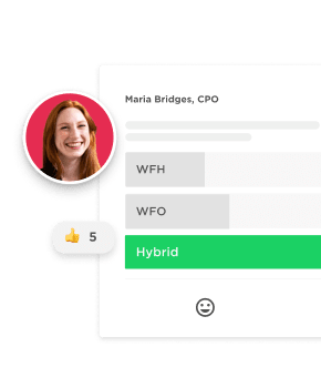 Bob's features: Much more than an HR platform | HiBob