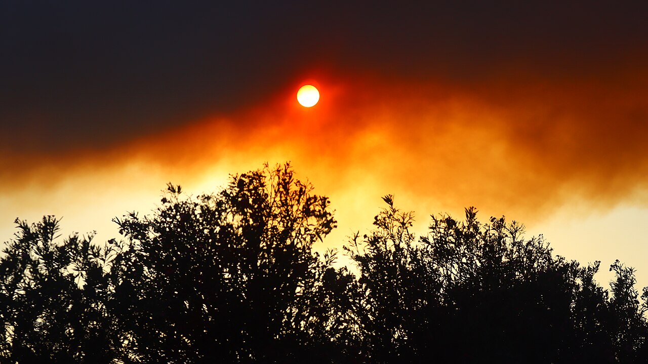 De klimaatfactuur van de zomer in Europa: 43 miljard euro – MO*