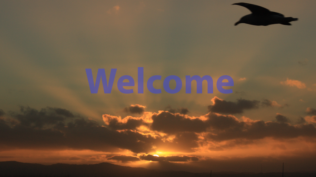 Home [www.peternaylor.nz]